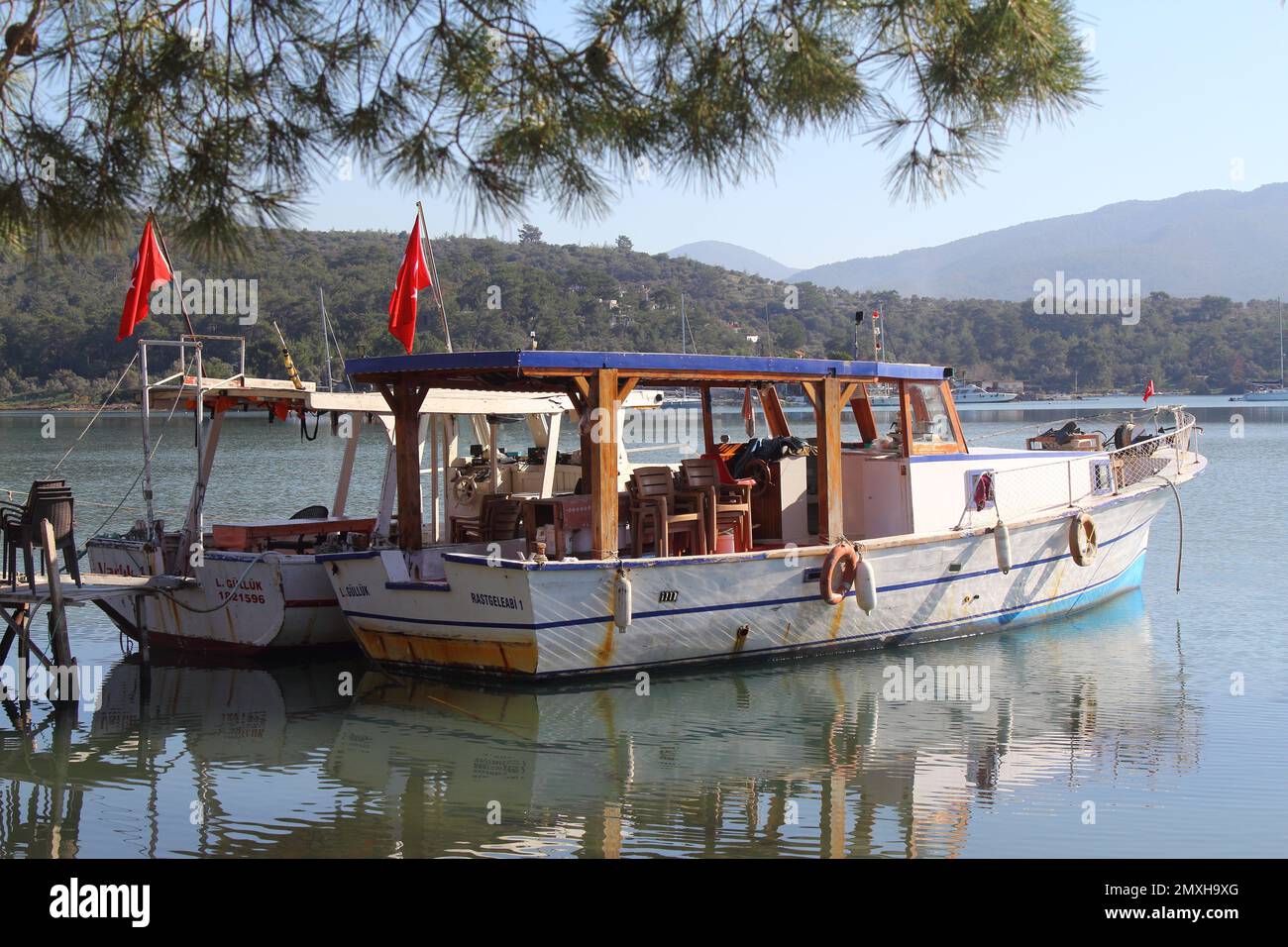 Milas, Mugla, Turkey : 24 January 2023 In the Kazıklı village of Milas ...