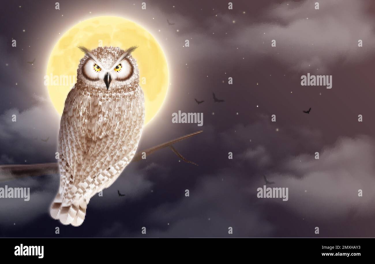 Owl realistic night composition with nocturnal scenery and bird sitting ...
