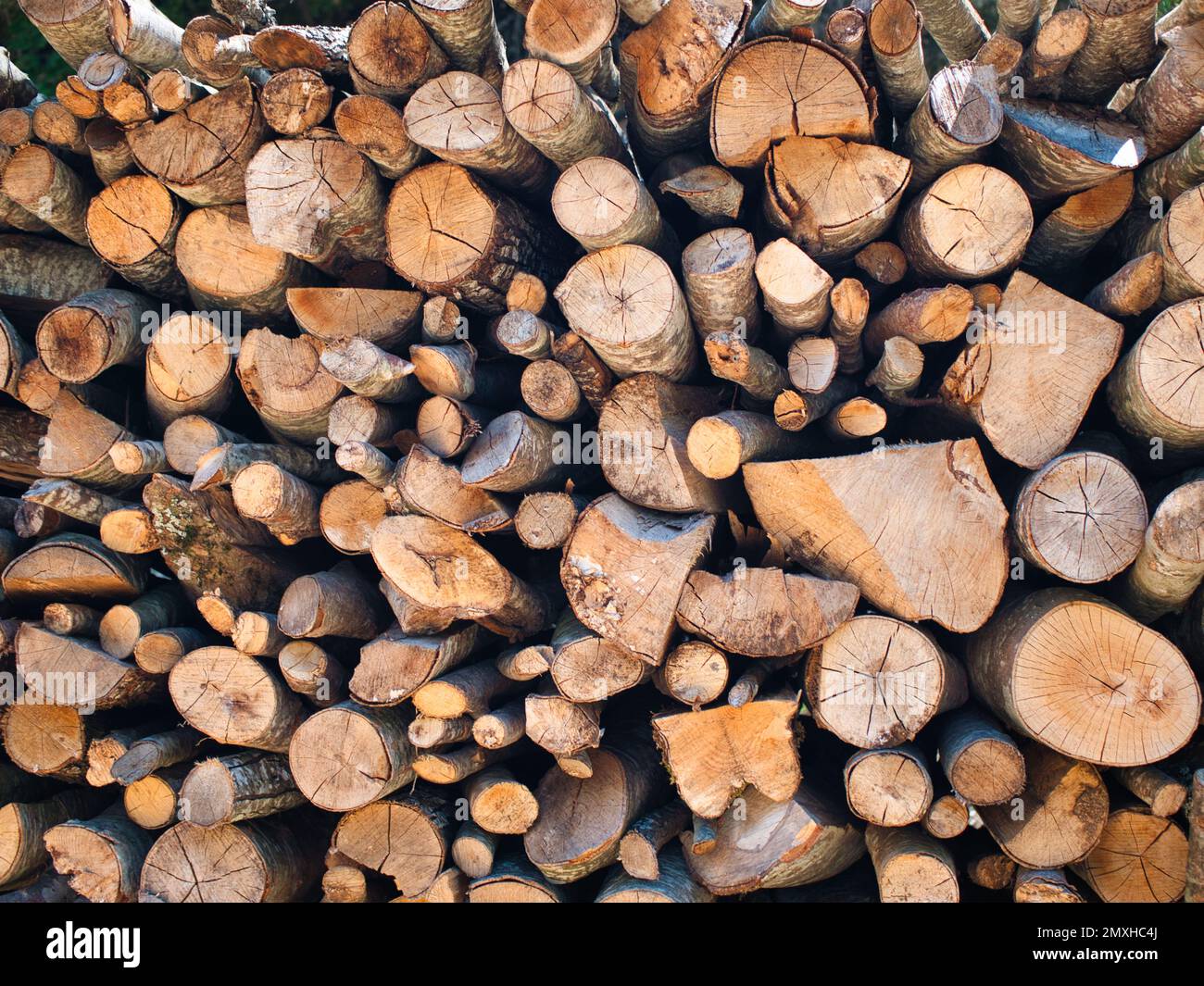 Woodpile lies in a heap, chopped for burning in a furnace. Finely ...