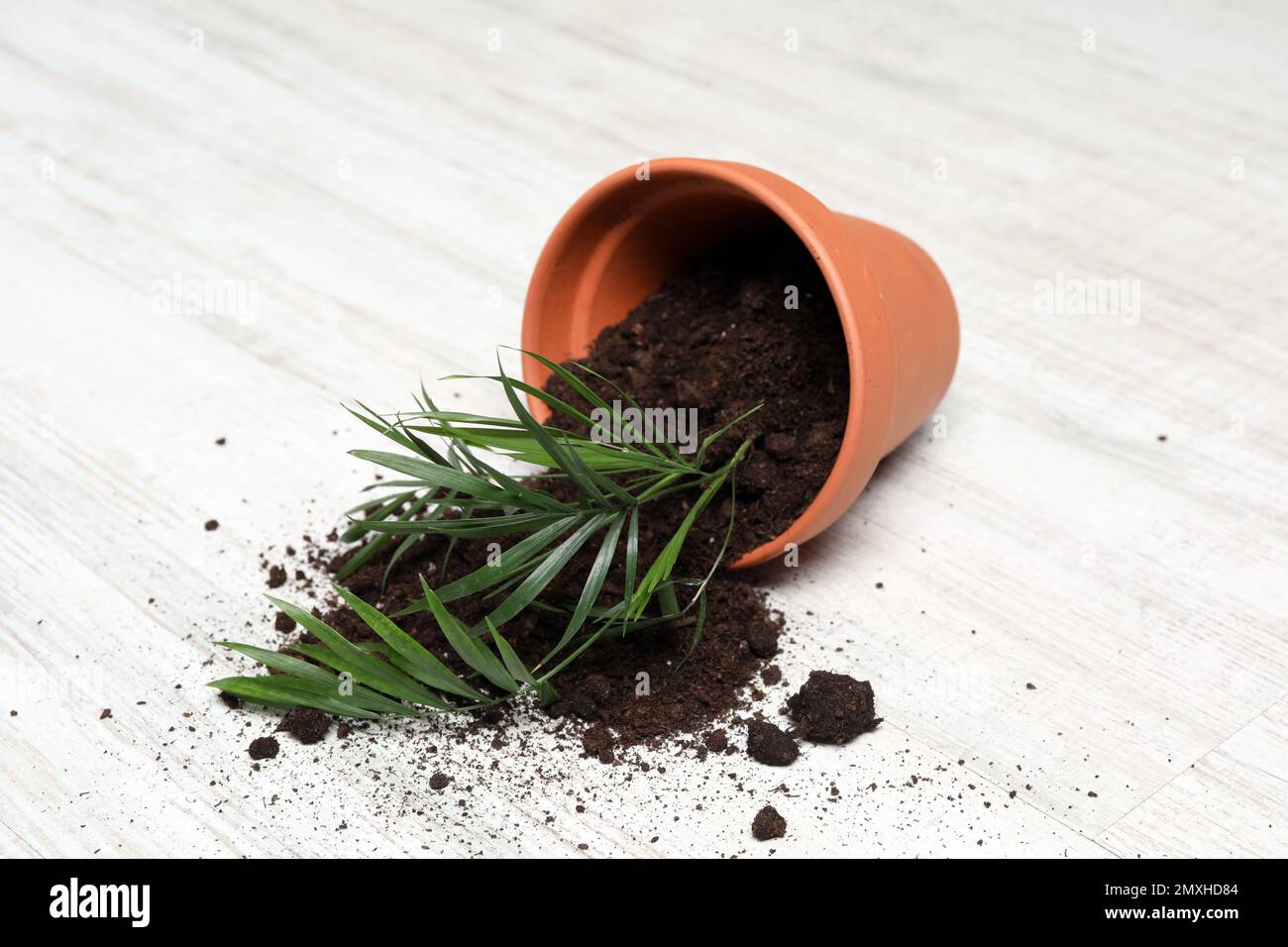 Ceramic pot overturned hi-res stock photography and images - Alamy