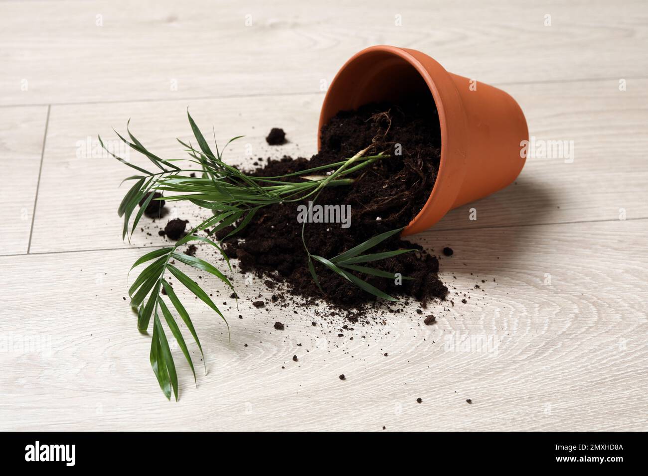 Overturned plant pot hi-res stock photography and images - Alamy