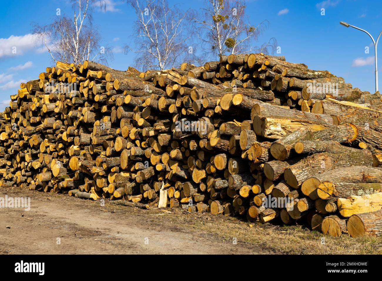 wooden logs on the open air Stock Photo - Alamy