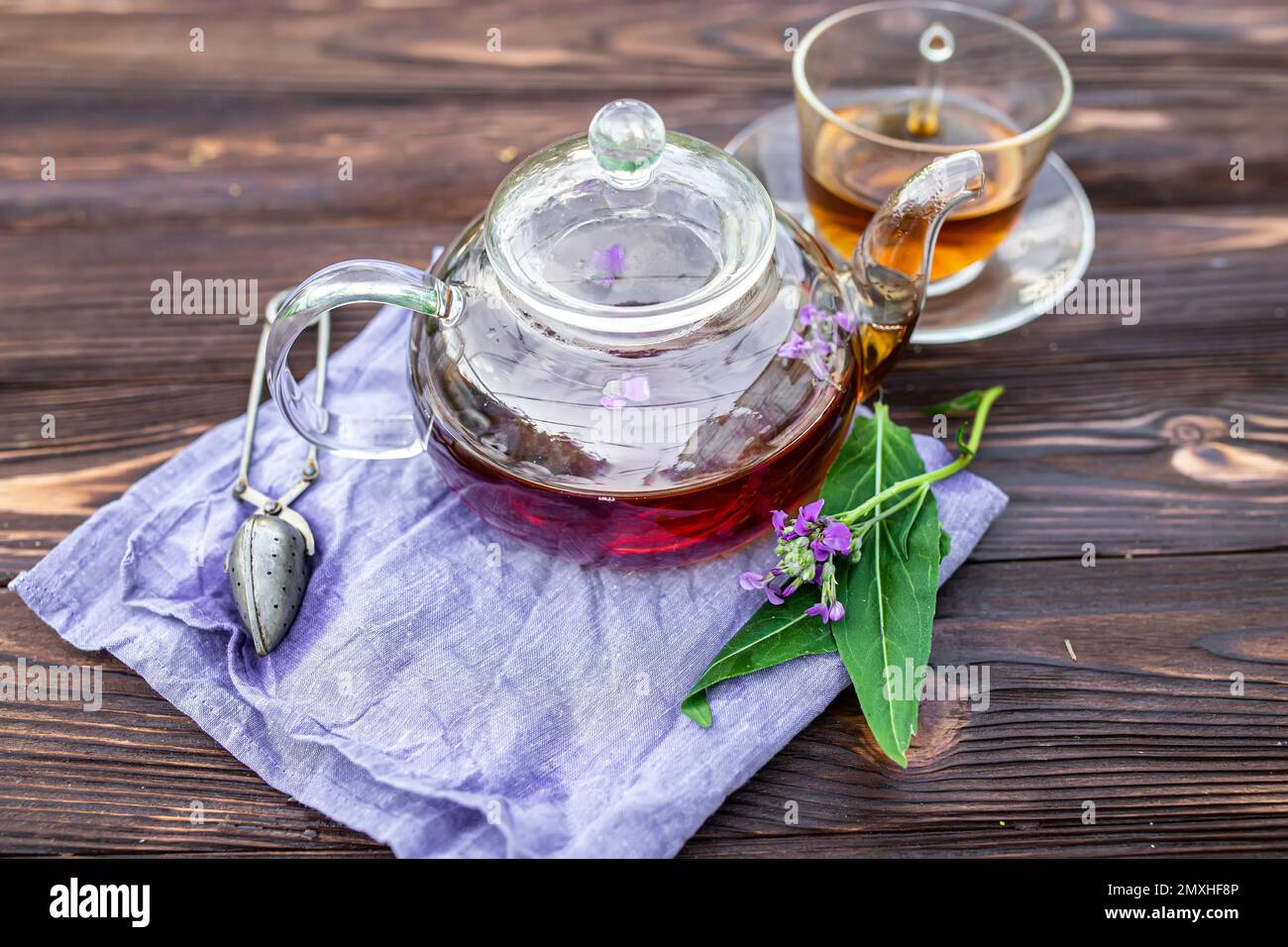 cup of herbal tea with fresh leaves and flowers Matthiola incana ...