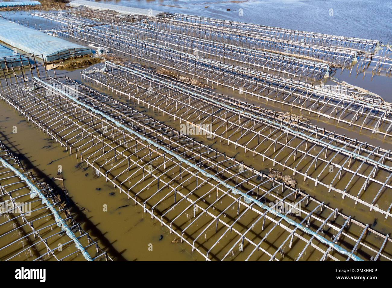 Aerial view of a farm flooded during the spring flood, greenhouses in ...