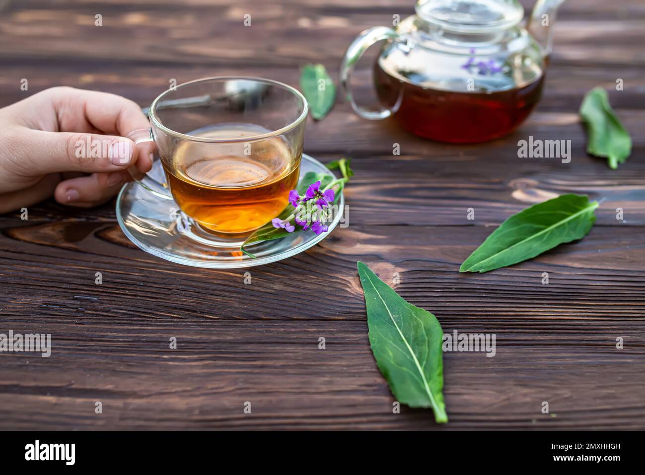 Gilly flower tea hi-res stock photography and images - Alamy