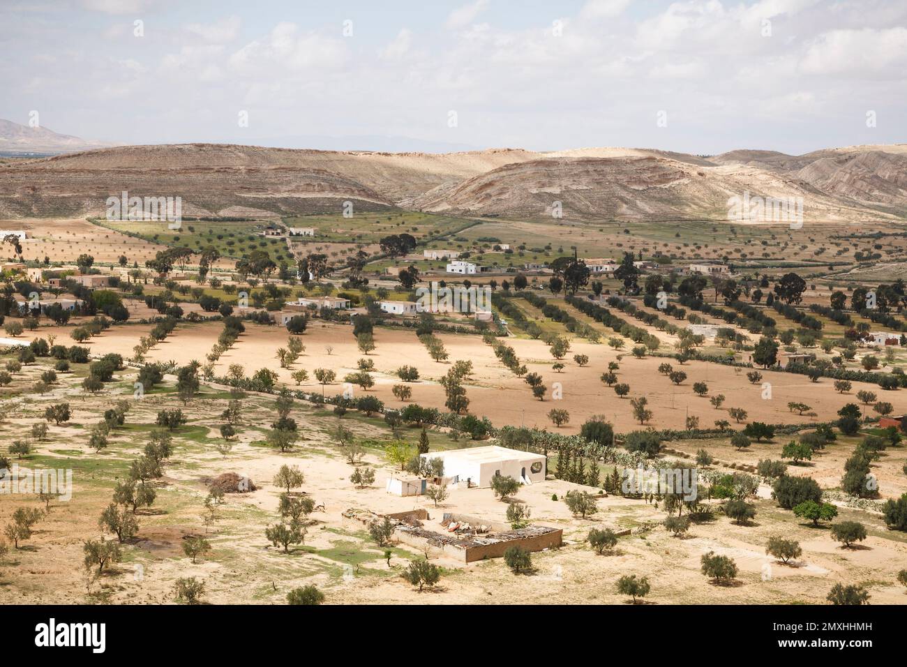 Farming in Africa. Desert or semi-arid landscape, farmland in arid ...