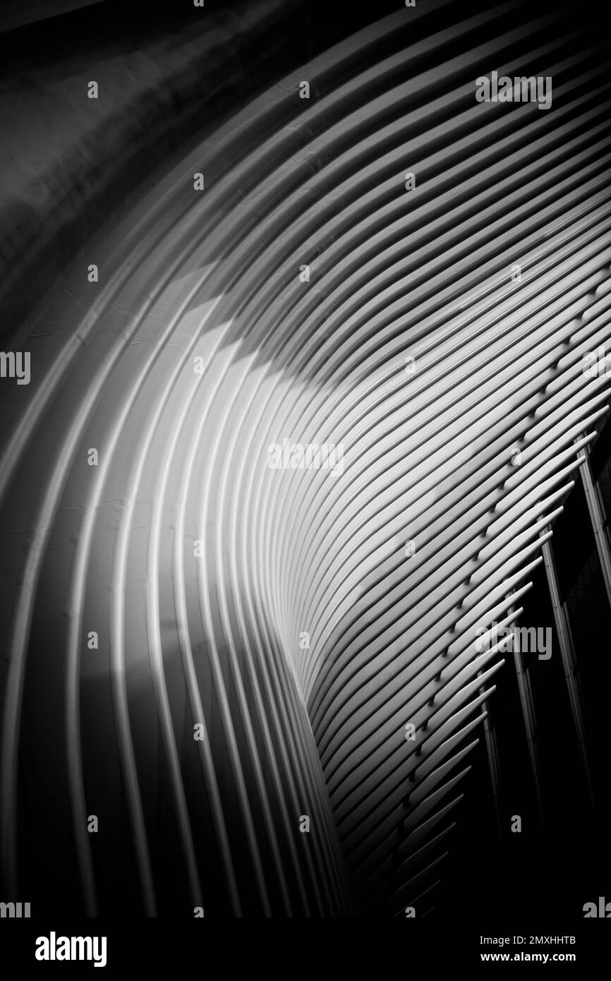 A grayscale of metal curves on the building Stock Photo - Alamy
