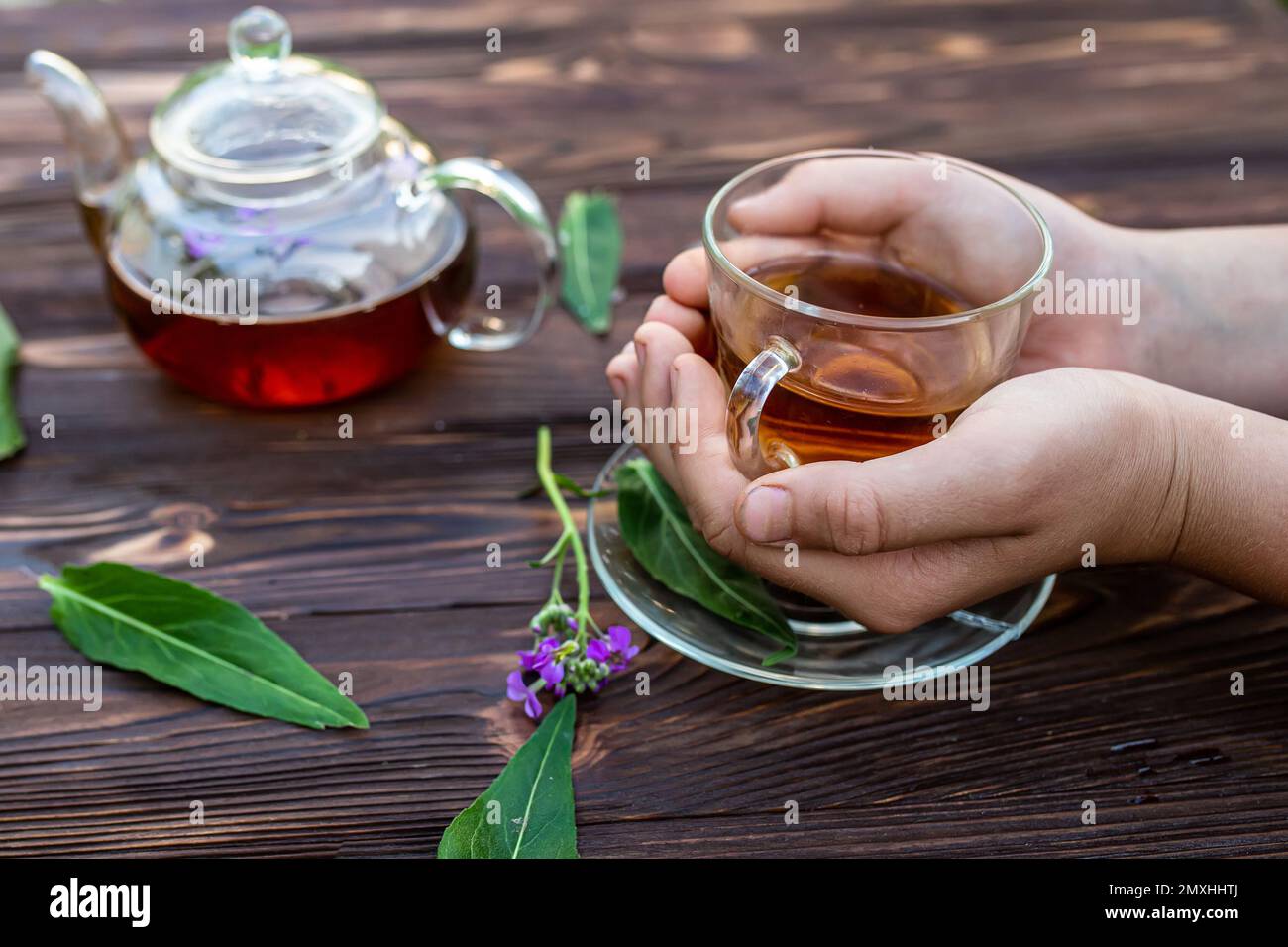Gilly flower tea hi-res stock photography and images - Alamy