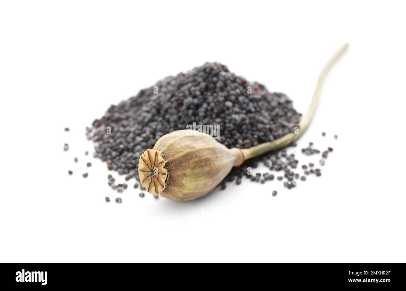 Poppy seeds and dried pod on white background Stock Photo - Alamy