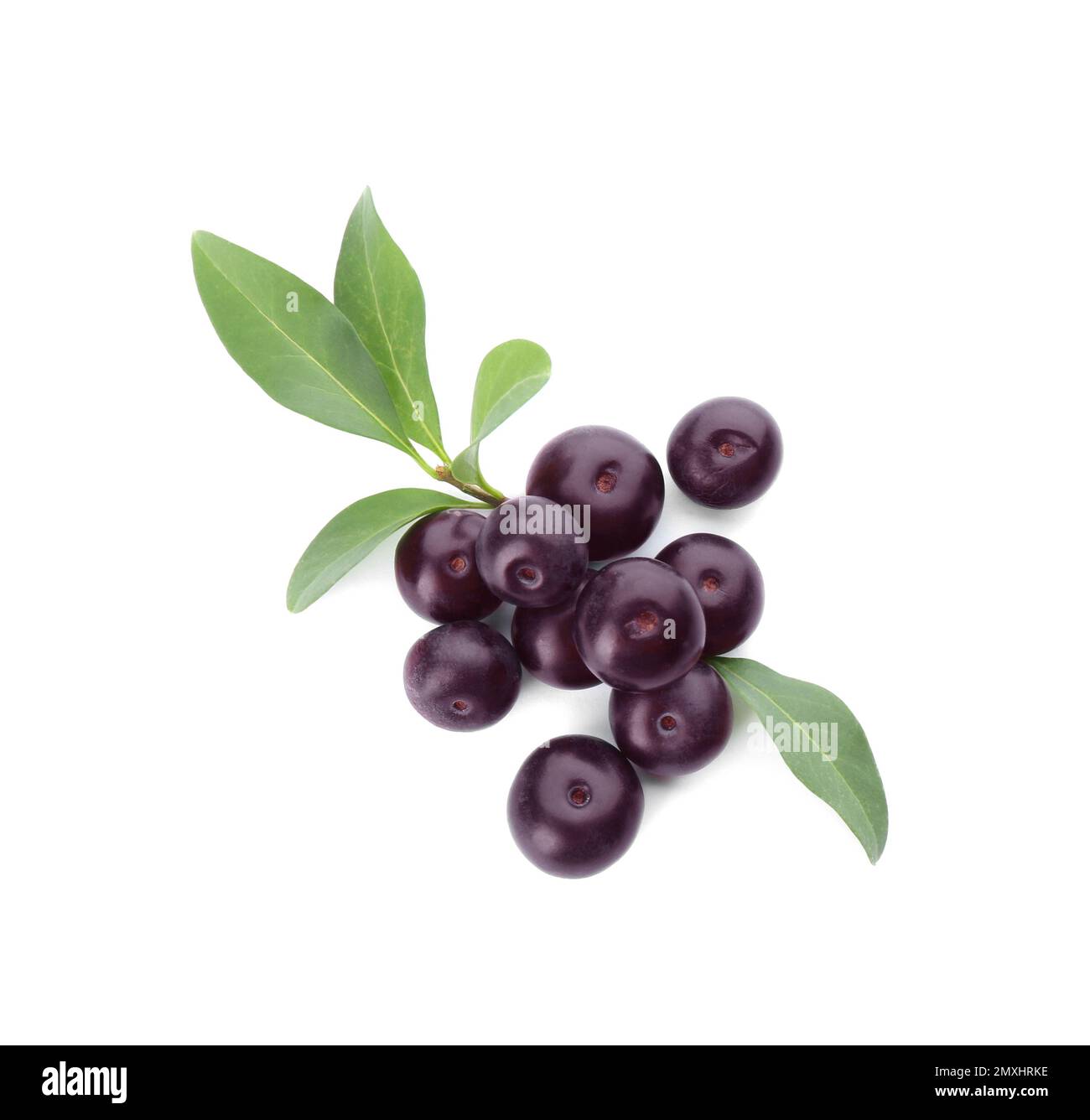Pile of fresh acai berries with leaves isolated on white, top view ...