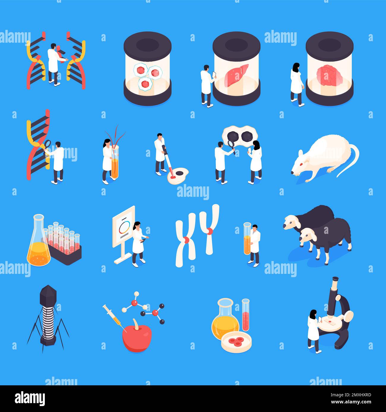 Isometric genetic engineering set with scientists and lab mouses isolated vector illustration ...