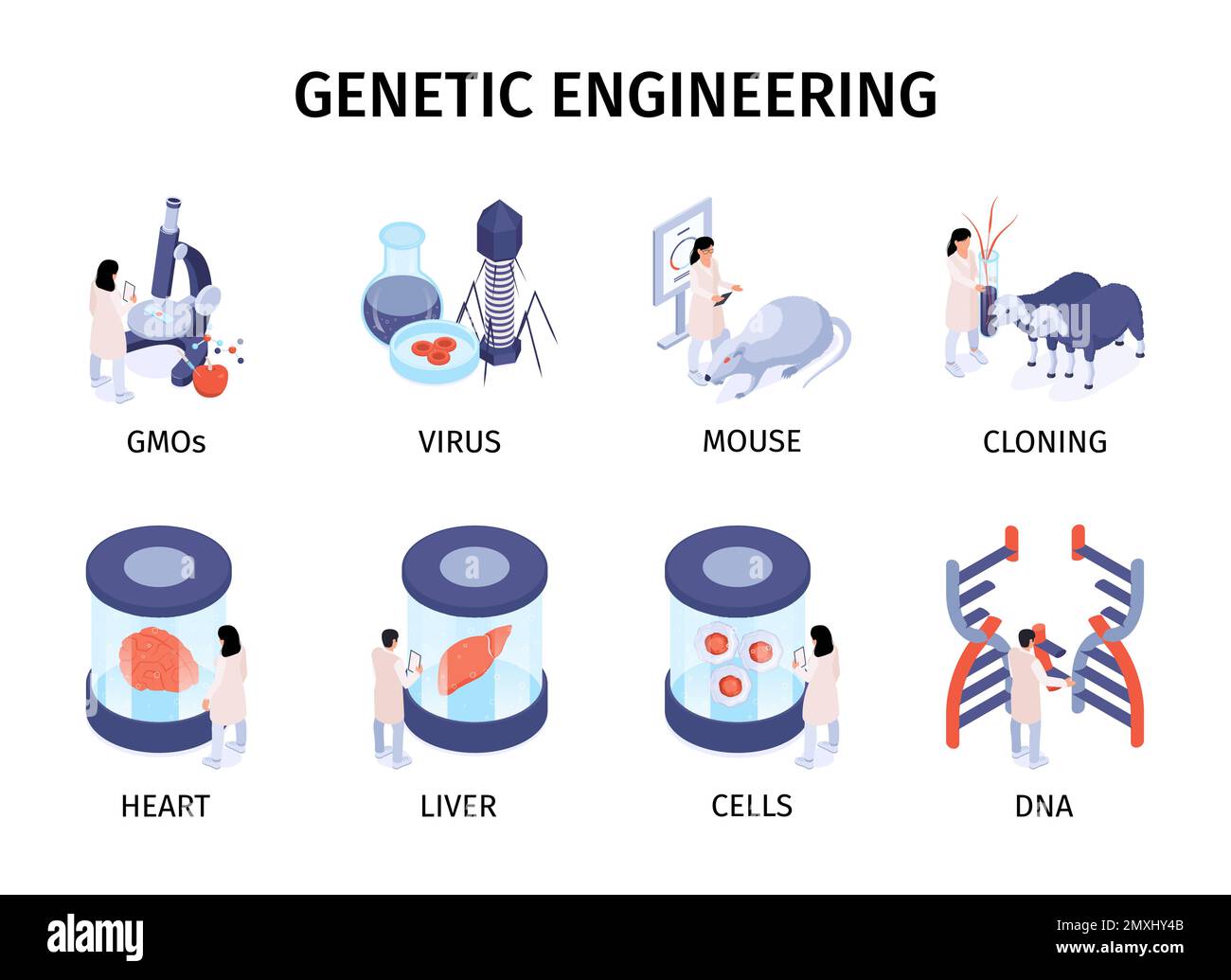 Isometric genetic engineering compositions set with organs cloning ...