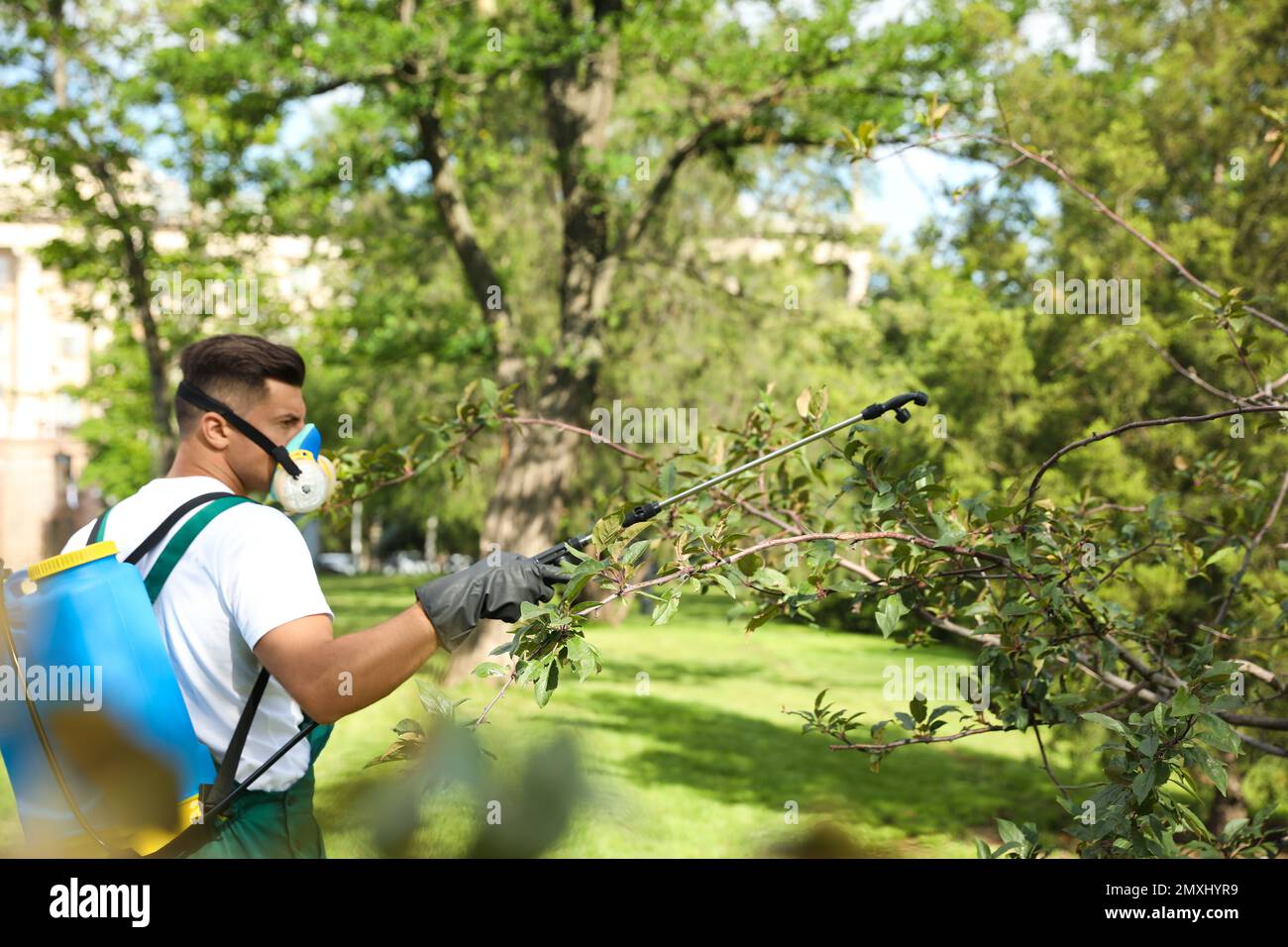 Worker spraying pesticide onto hi-res stock photography and images - Alamy