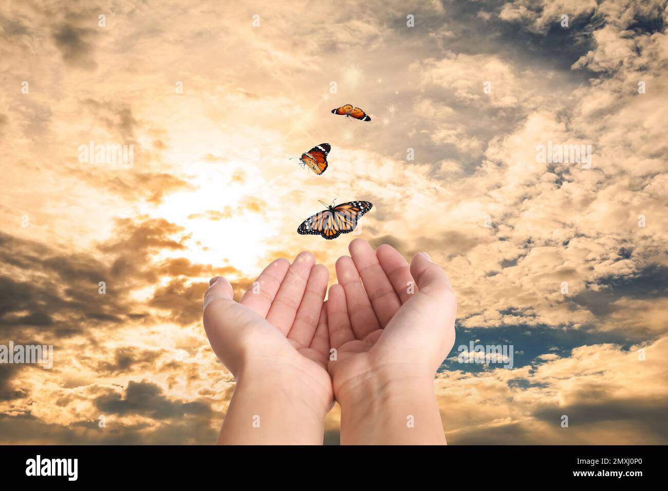 Hands releasing butterflies hi-res stock photography and images - Alamy