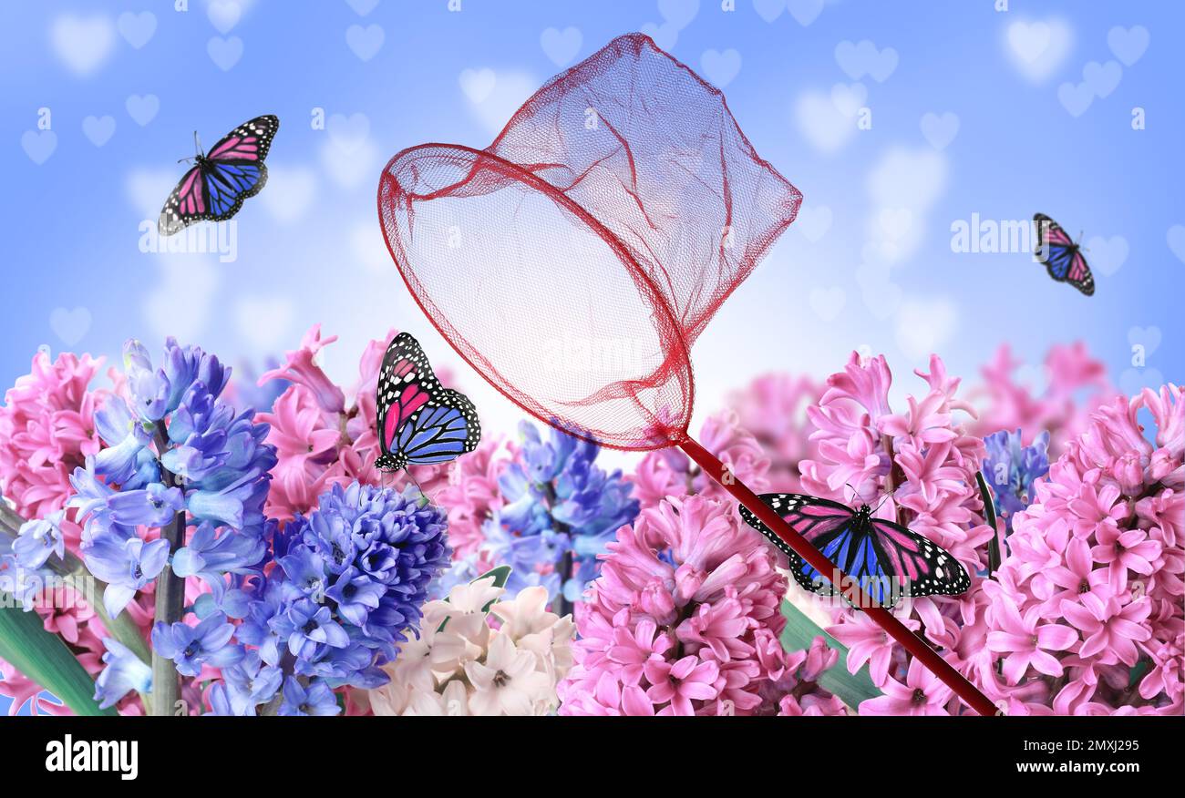 Bright net and fragile monarch butterflies in flower garden Stock Photo ...