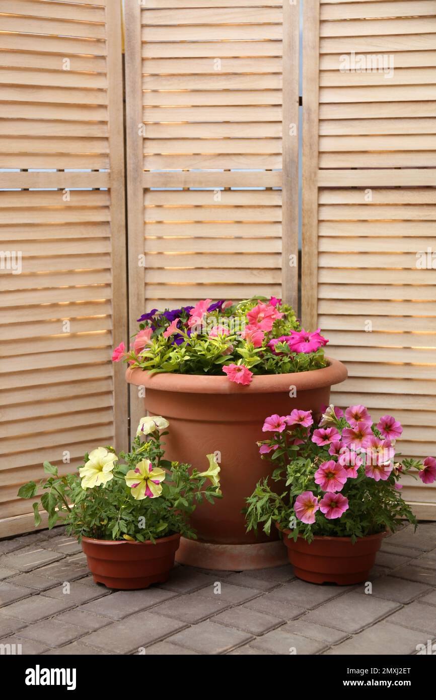 Folding screen in background hi-res stock photography and images - Alamy