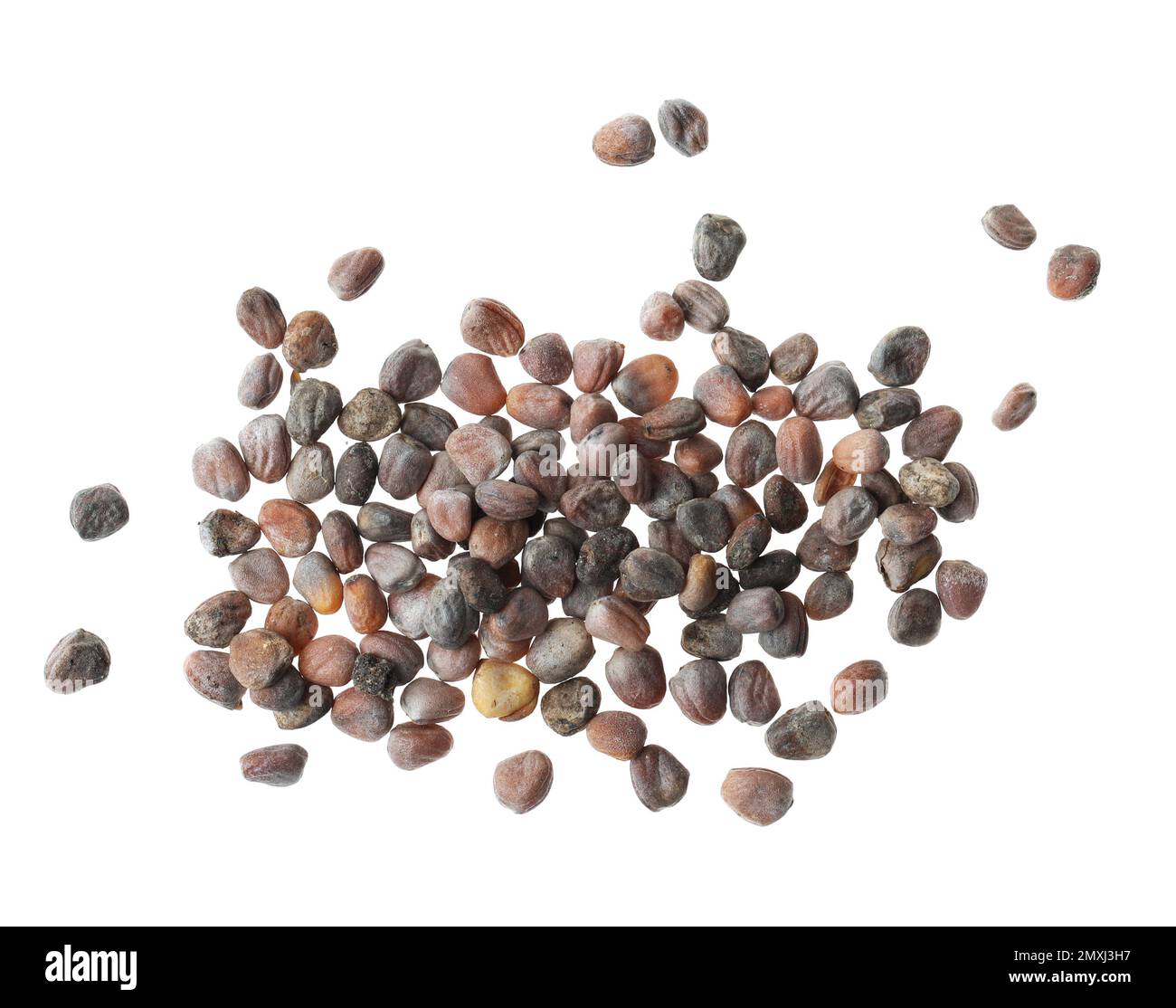 Pile of raw radish seeds on white background, top view. Vegetable ...