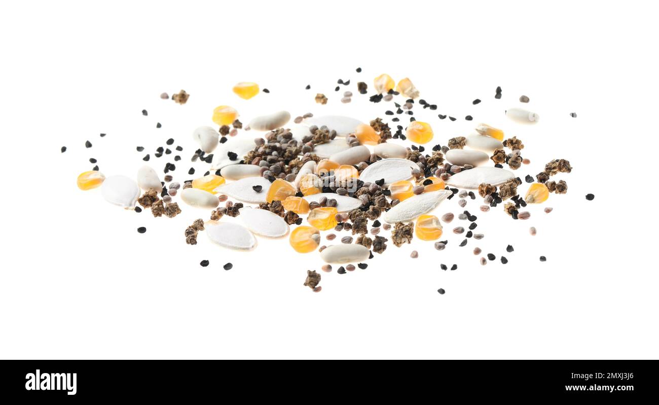 Mix of vegetable seeds on white background Stock Photo - Alamy