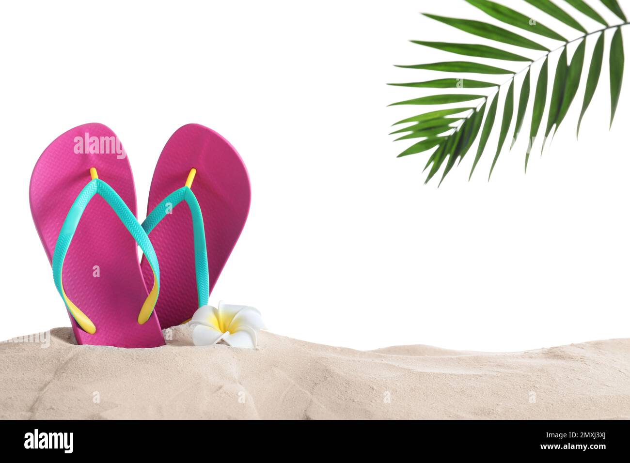 Pink flip flops and plumeria flower on sand against white background ... Pink flip flops and plumeria flower on sand against white background ...