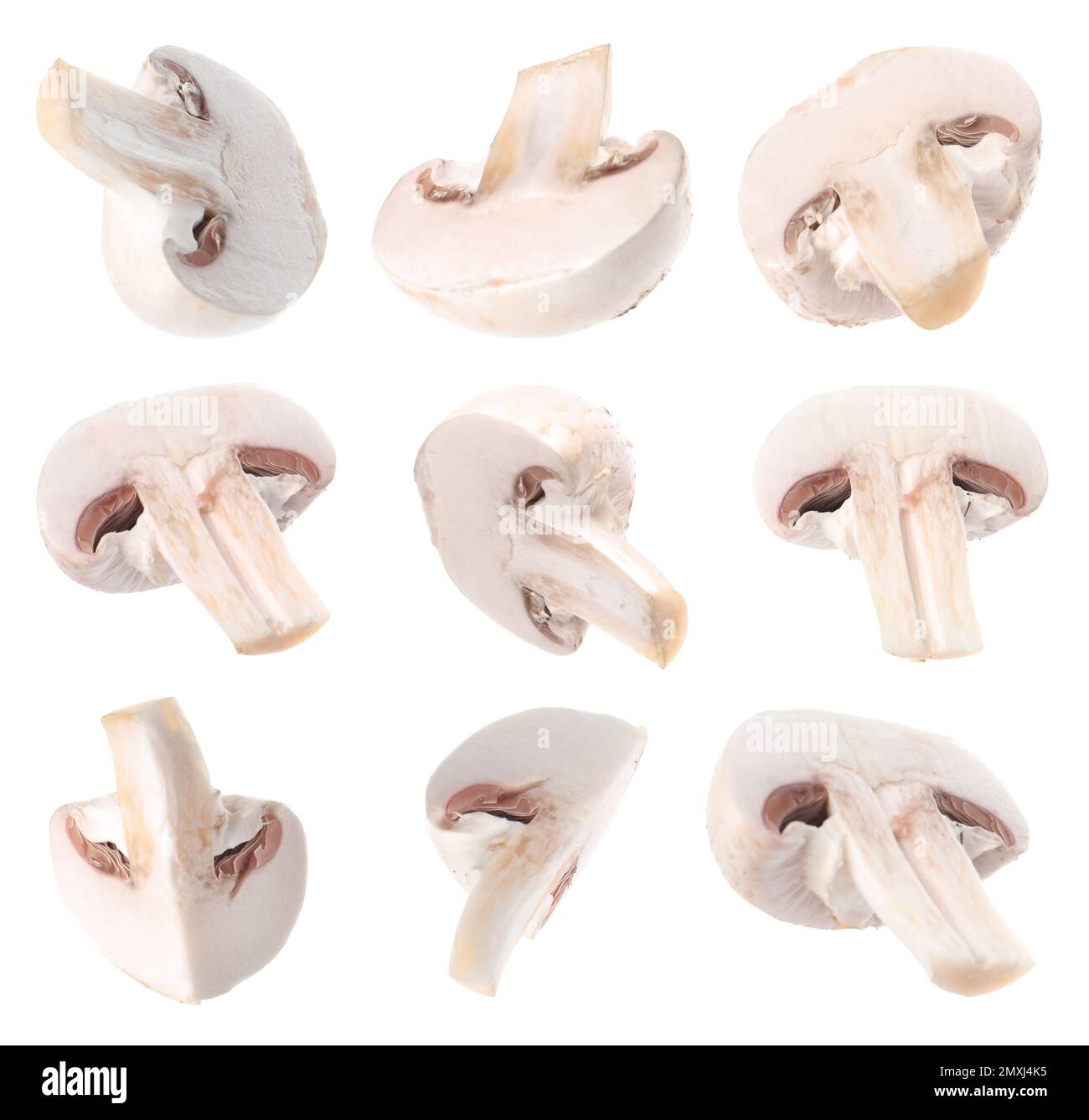 Fresh cut mushrooms flying on white background Stock Photo - Alamy