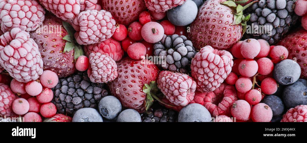 Mix of different frozen berries as background, banner design Stock ...