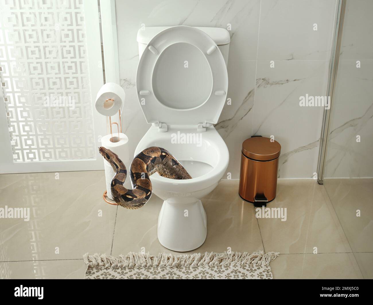 Brown boa constrictor crawling out from toilet bowl in bathroom Stock ...