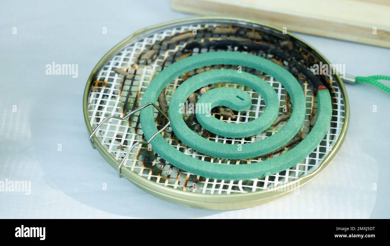 Burning green spiral mosquito repellent coil and red fire with white ...