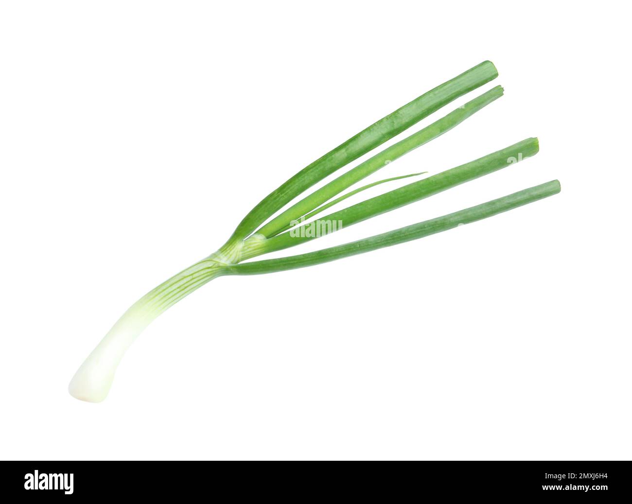Fresh green spring onion isolated on white Stock Photo - Alamy
