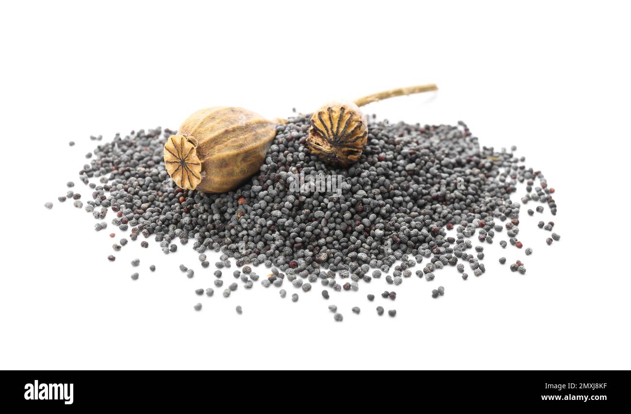 Dried poppyheads and seeds on white background Stock Photo - Alamy