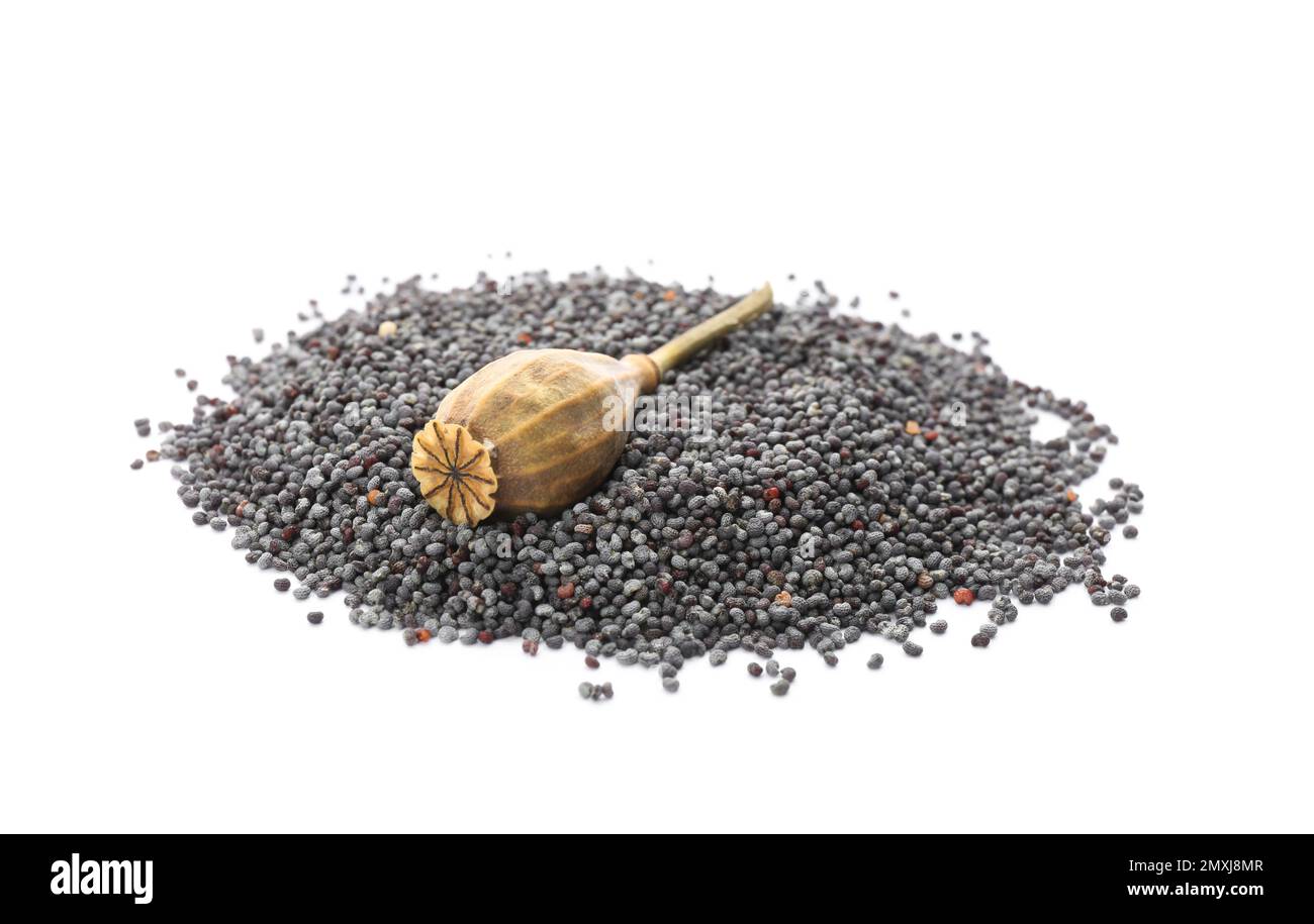Dried poppyhead and seeds on white background Stock Photo - Alamy