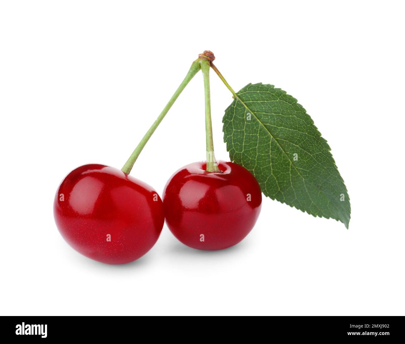 Sweet red cherries with leaf isolated on white Stock Photo - Alamy