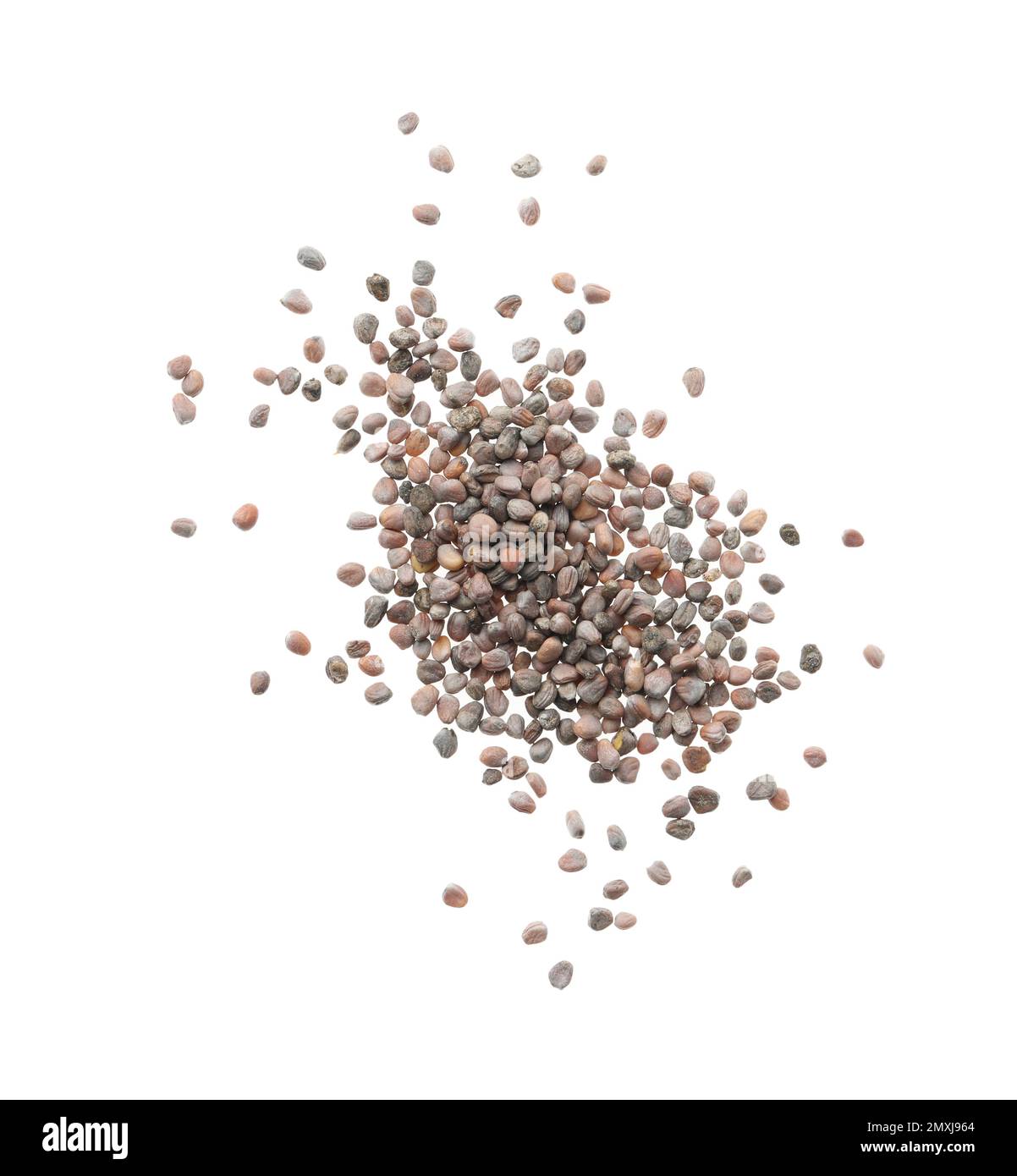 Pile of raw radish seeds on white background, top view. Vegetable ...