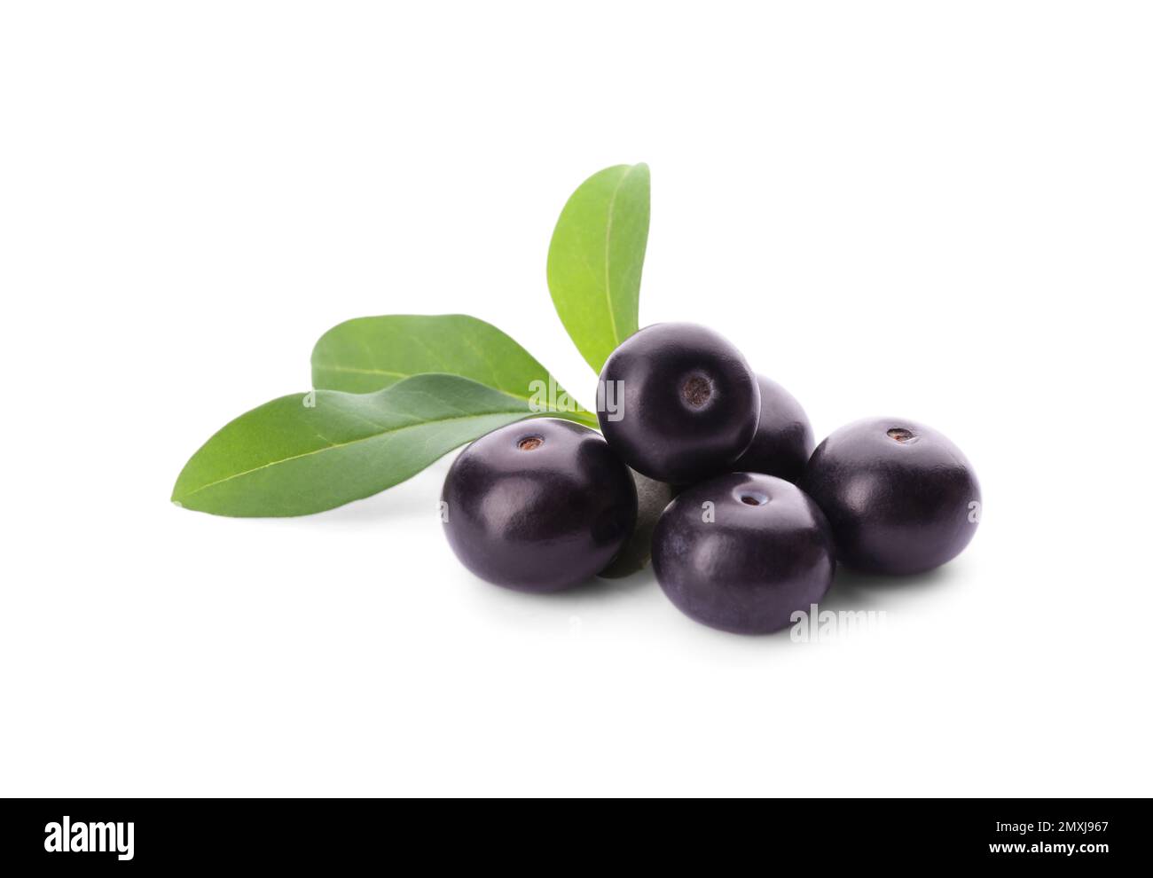 Fresh acai berries with leaves isolated on white Stock Photo - Alamy
