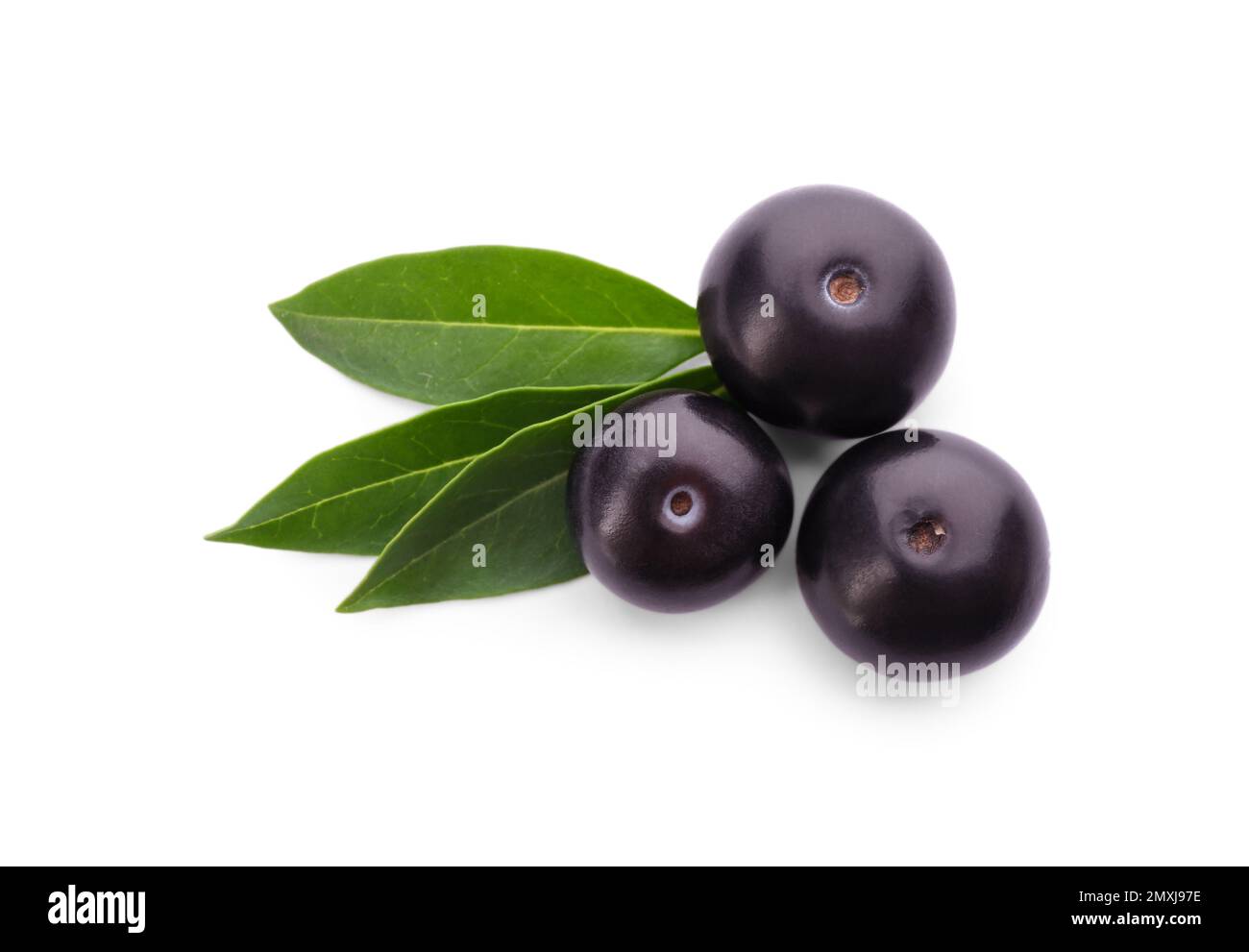 Fresh acai berries with leaves isolated on white, top view Stock Photo ...