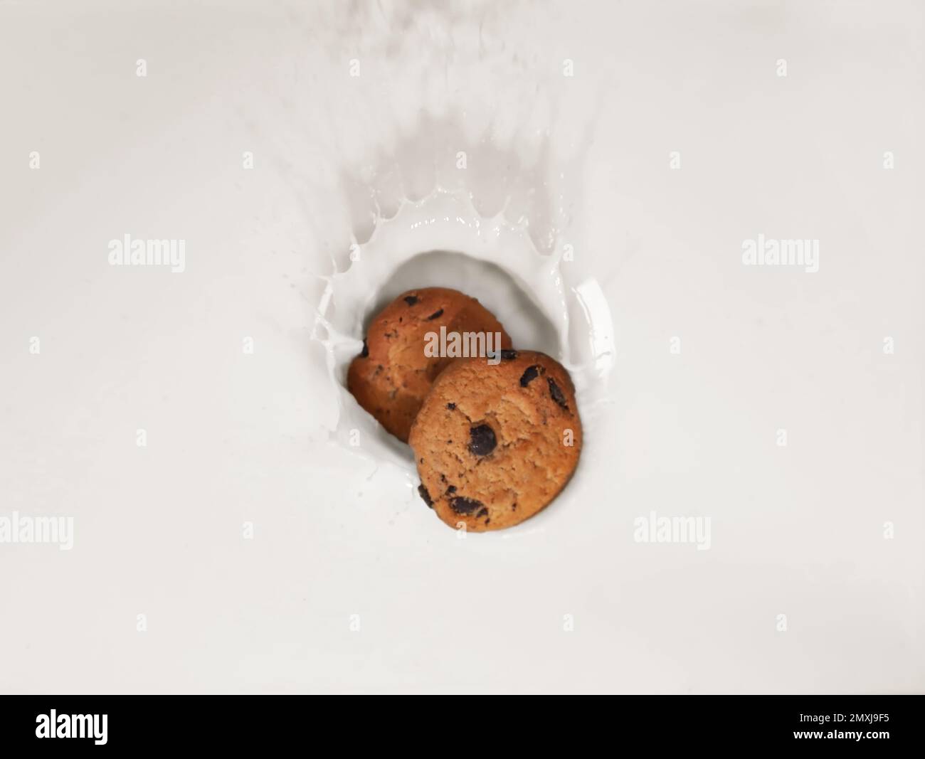 Cookies falling in milk with splashes, top view Stock Photo - Alamy