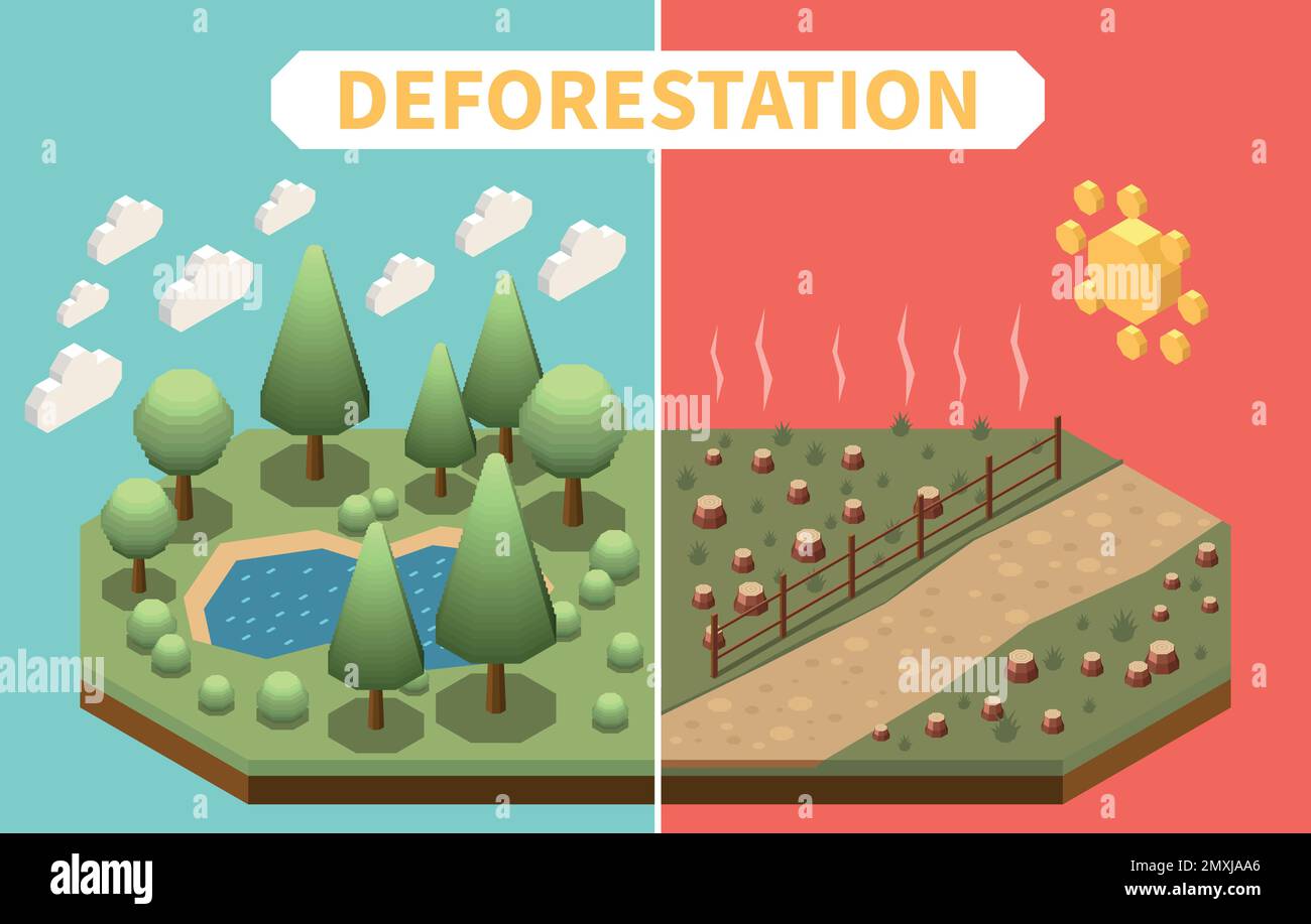 Deforestation consequences leading to global problems of climate and ...