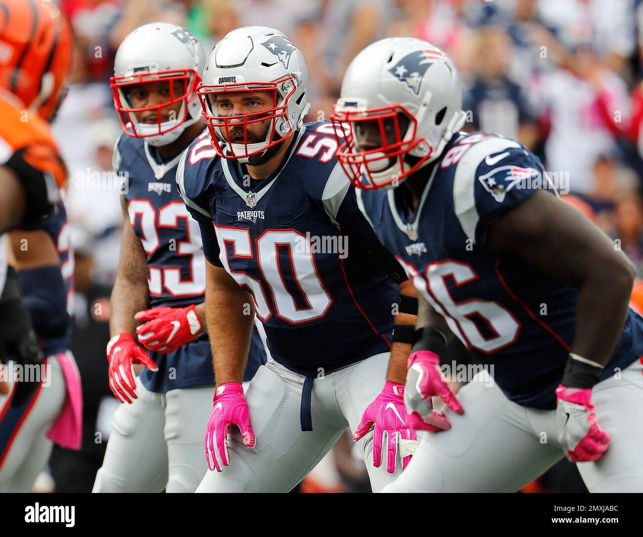 New England Patriots outside linebacker Rob Ninkovich during an NFL ...