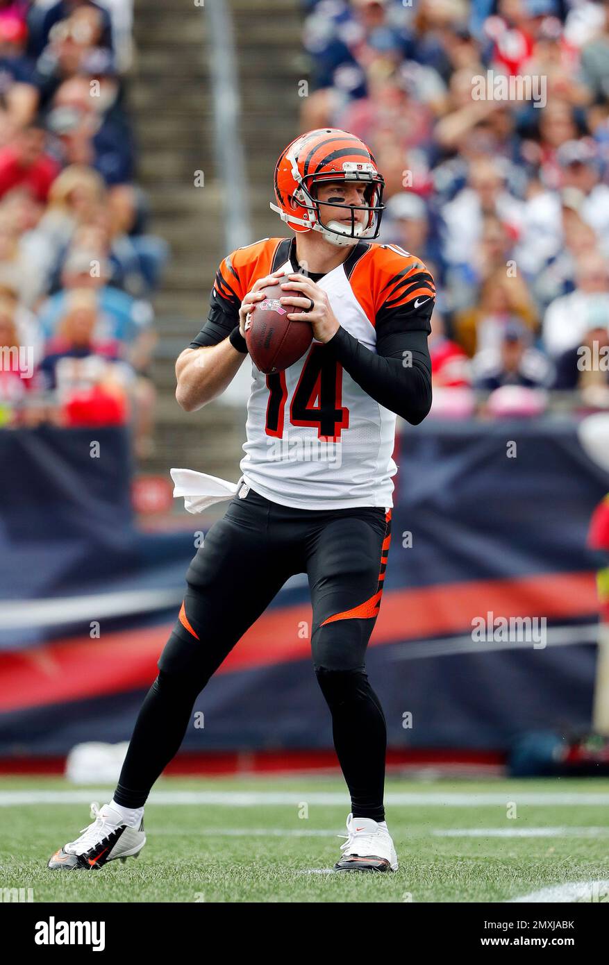 Cincinnati Bengals quarterback Andy Dalton drops back during an NFL ...