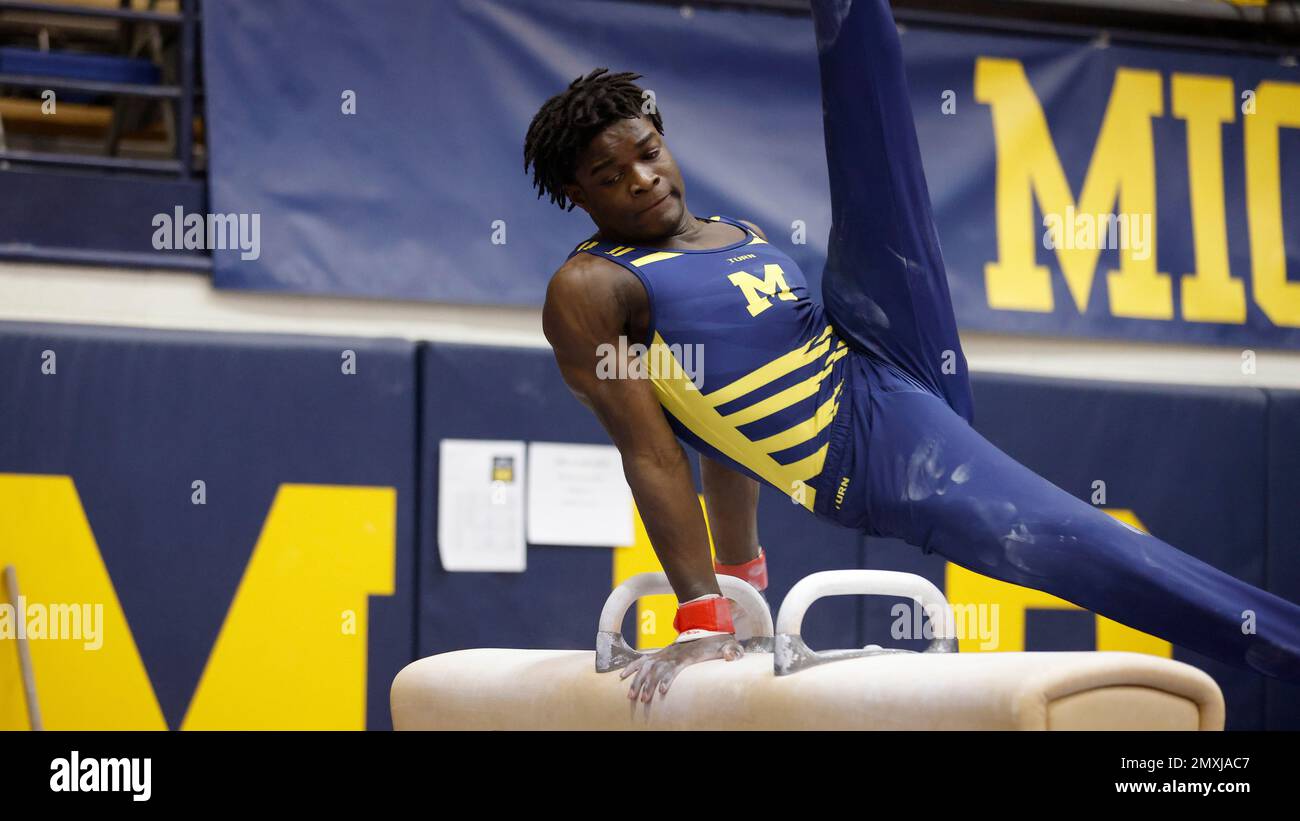 Michigan's Fred Richard competes in the pommel horse during an NCAA ...