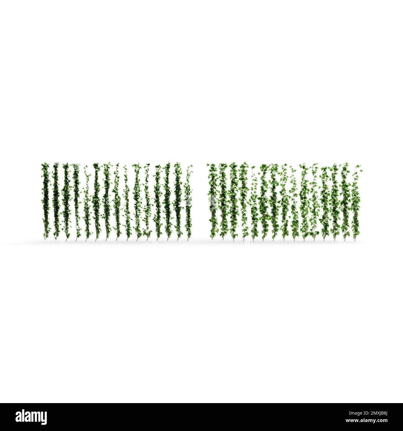 A 3D rendering of leaves around columns isolated in white background ...