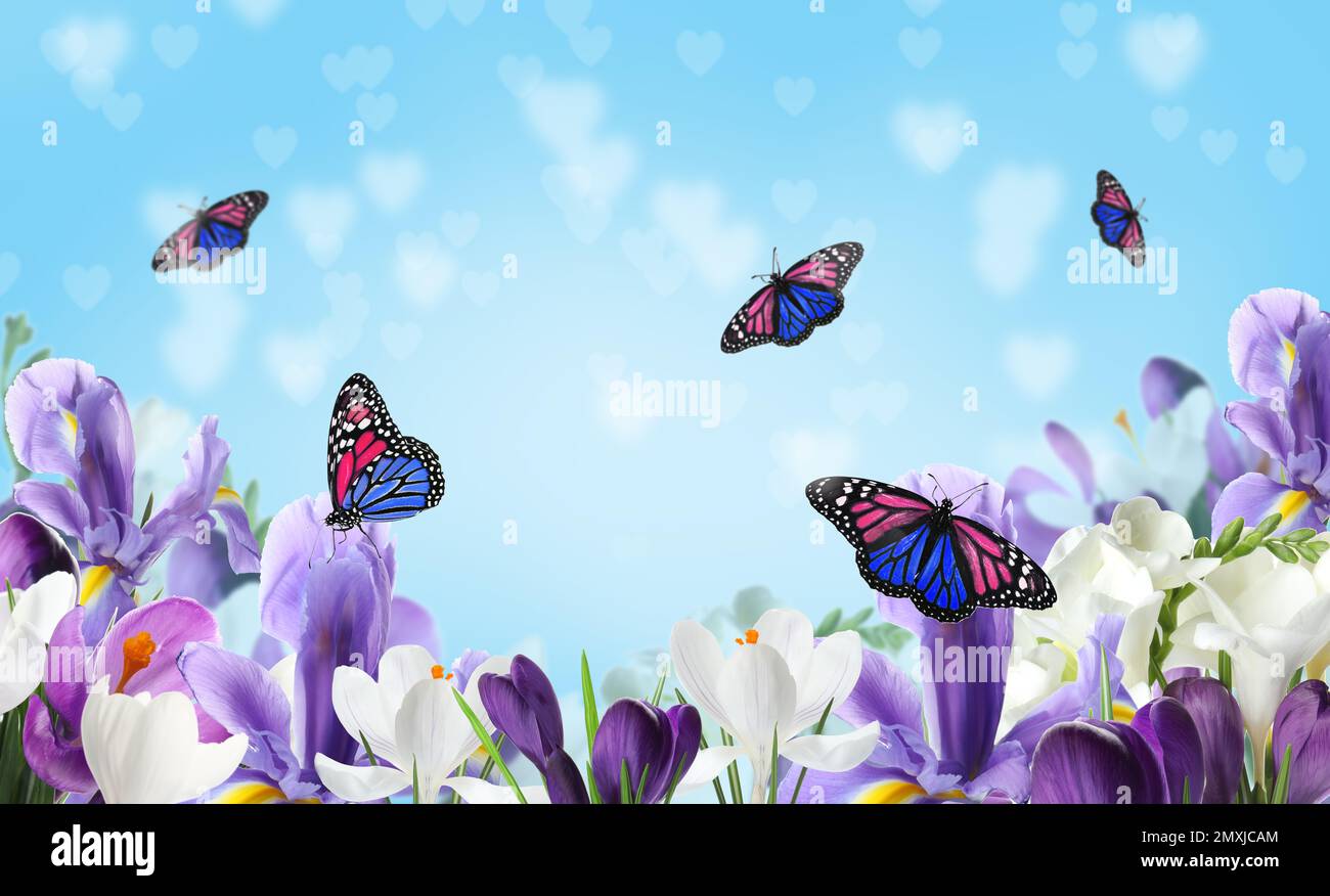 Beautiful blooming flowers and amazing fragile monarch butterflies ...