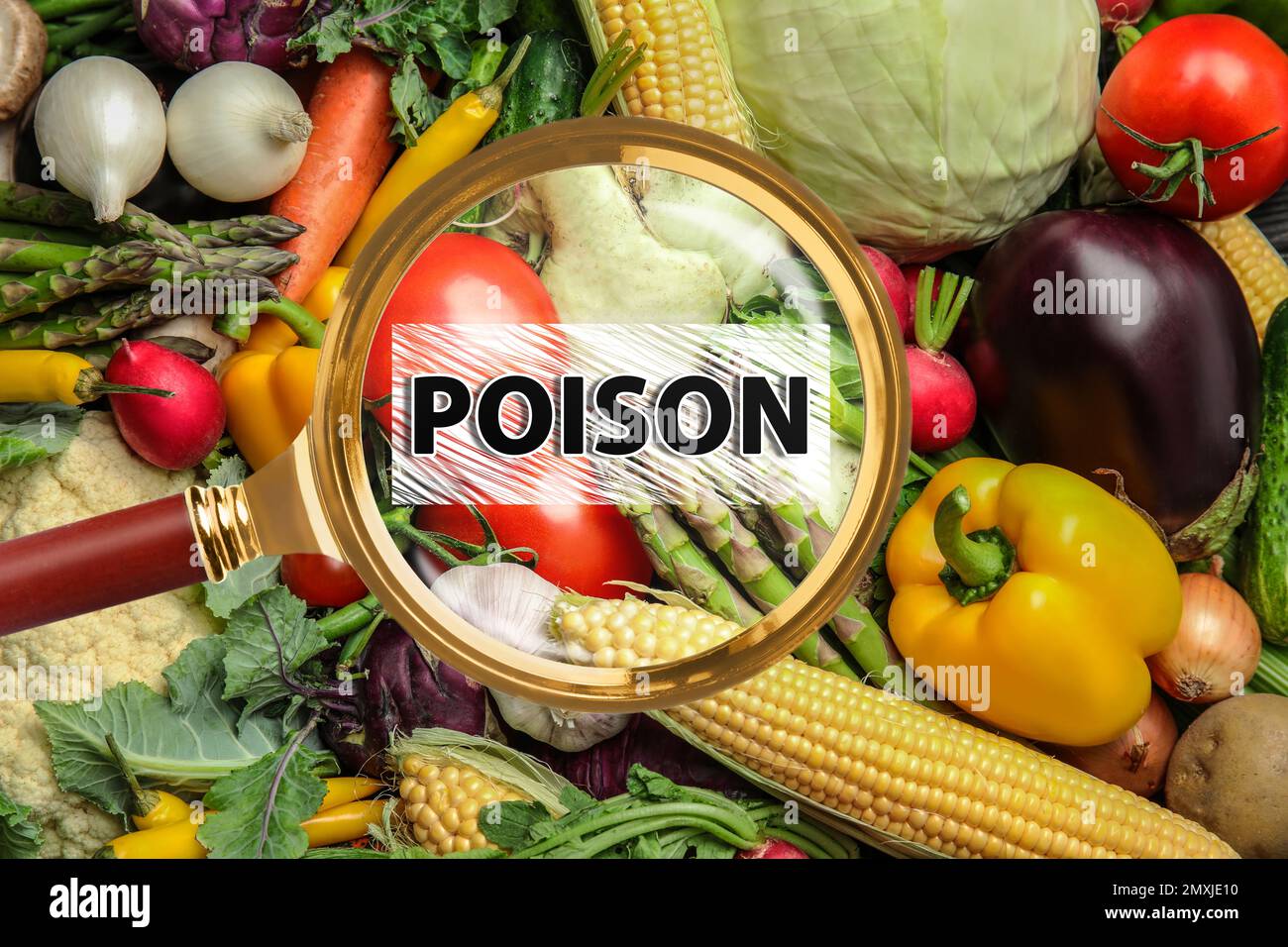Magnifying glass on vegetables, top view. Food poisoning concept Stock ...