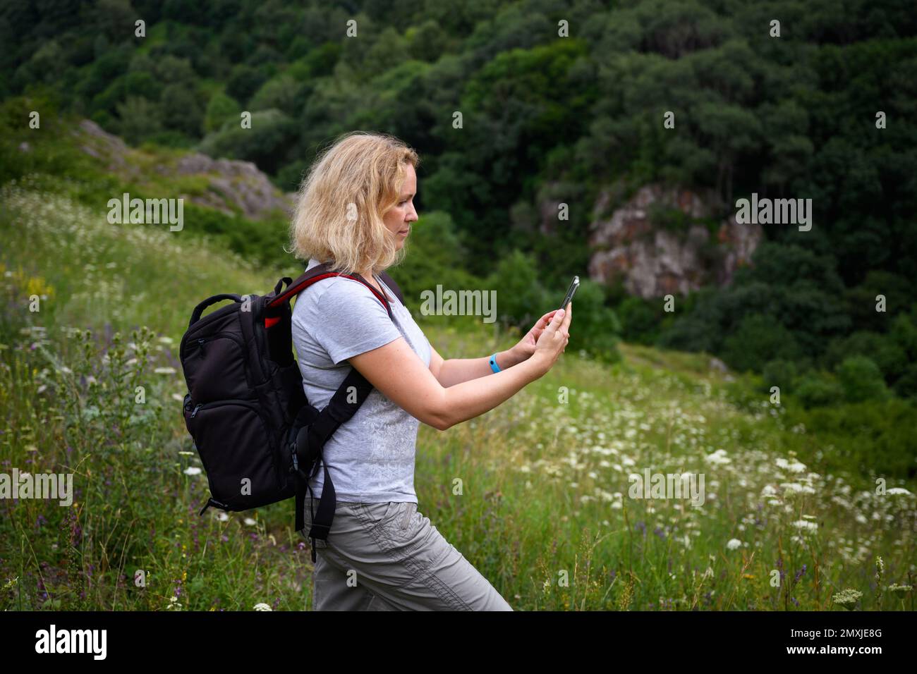 Gps map forest hi-res stock photography and images - Alamy