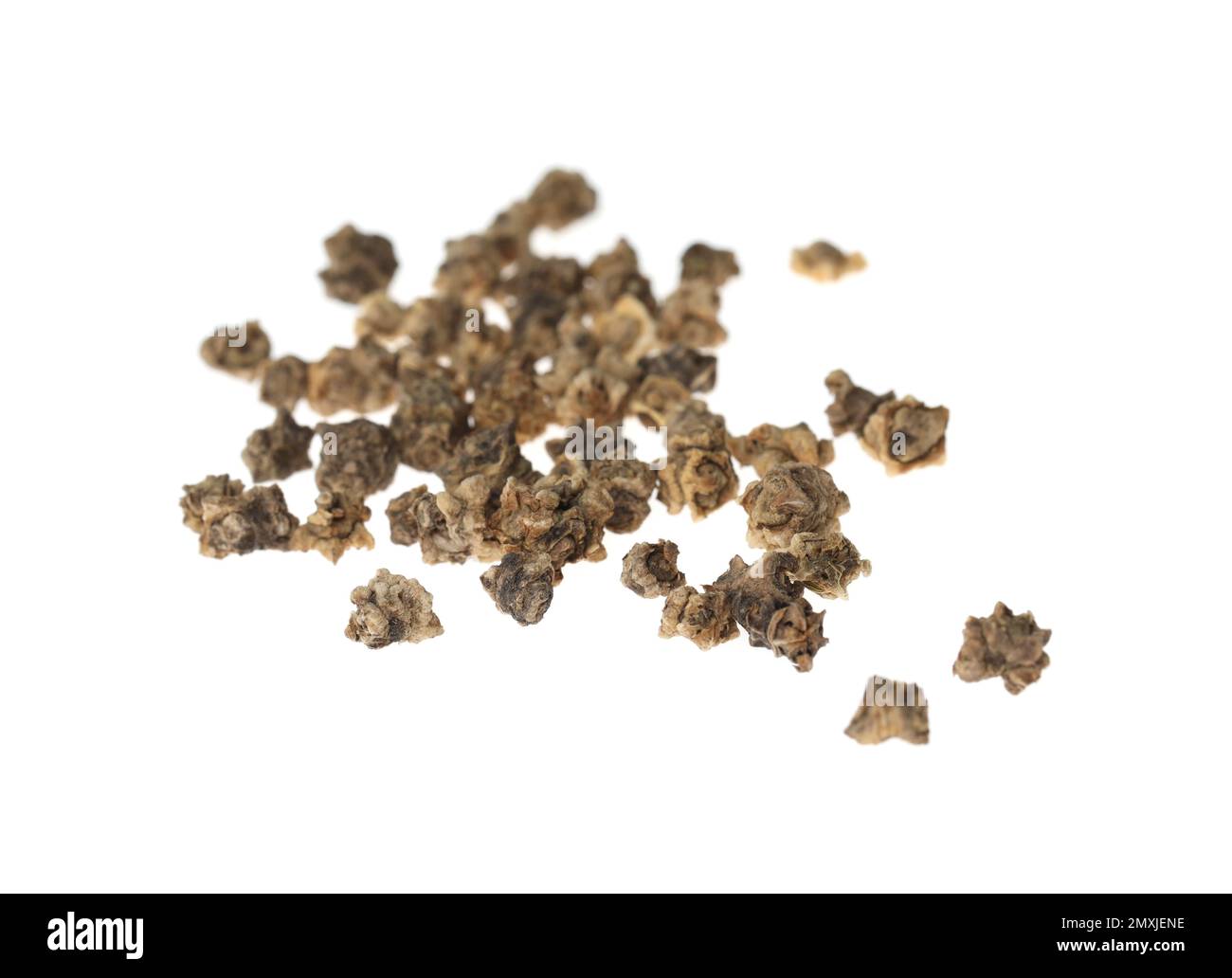 Pile of raw beet seeds on white background. Vegetable planting Stock ...
