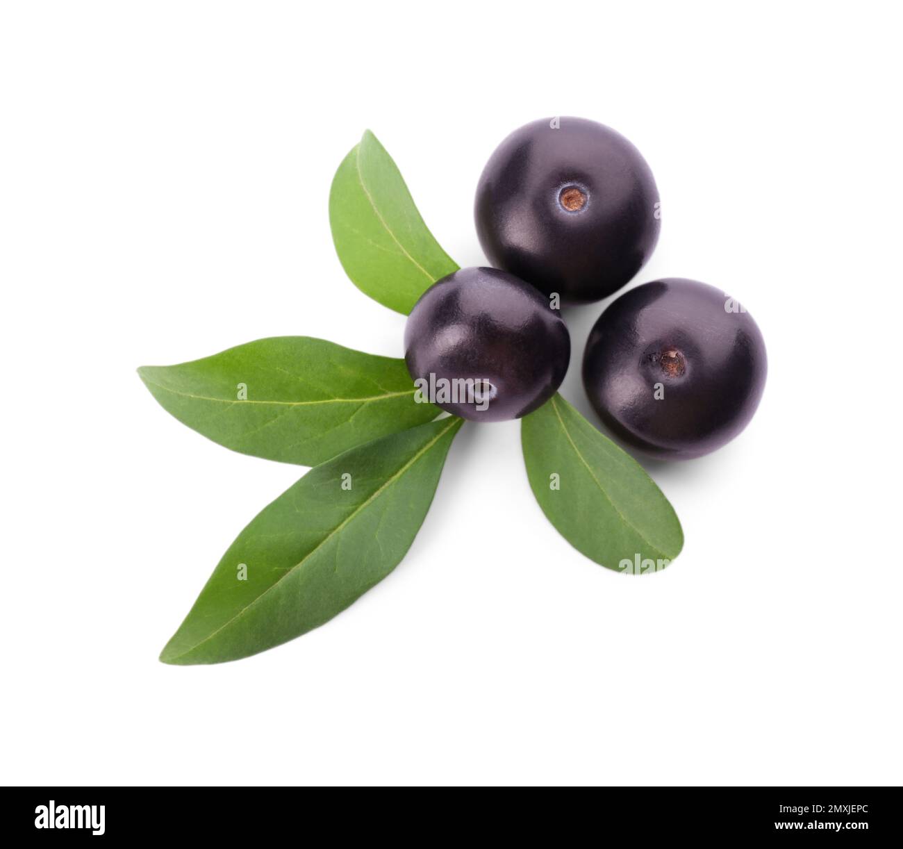 Fresh acai berries with leaves isolated on white, top view Stock Photo ...