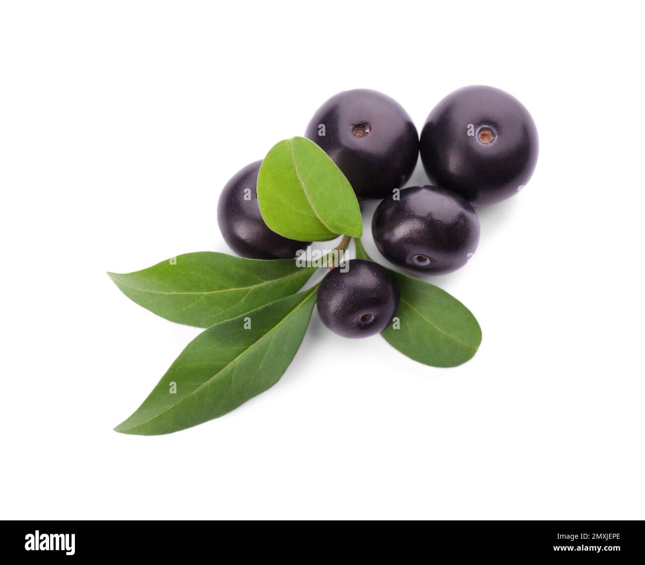 Fresh acai berries with leaves isolated on white, top view Stock Photo ...