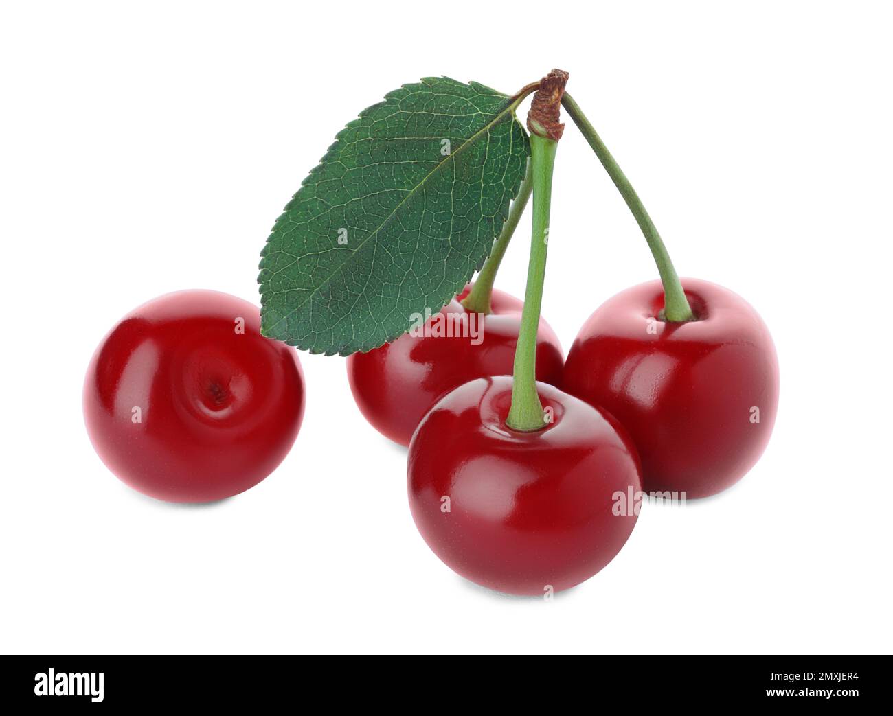 Sweet red juicy cherries isolated on white Stock Photo - Alamy