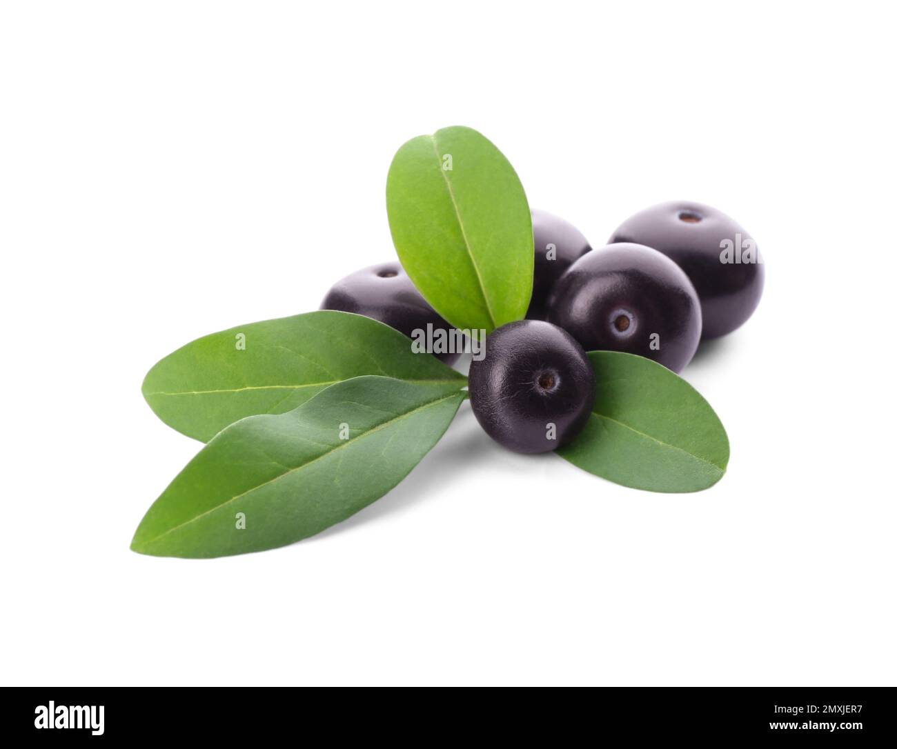 Fresh acai berries with leaves isolated on white Stock Photo - Alamy