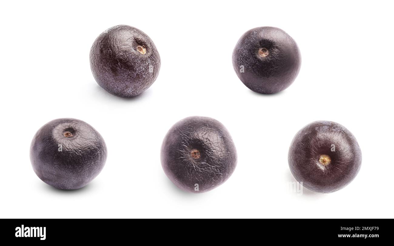 Set of fresh acai berries on white background, banner design Stock ...