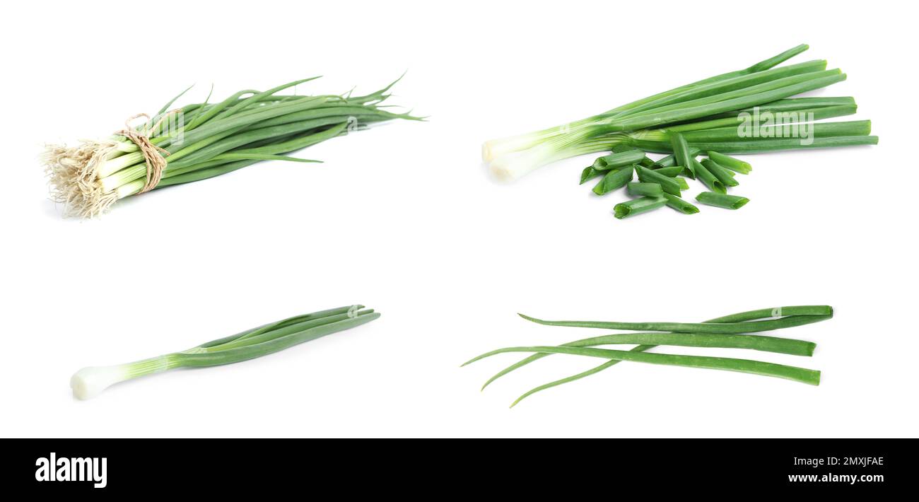 Collage with green spring onions on white background, banner design ...